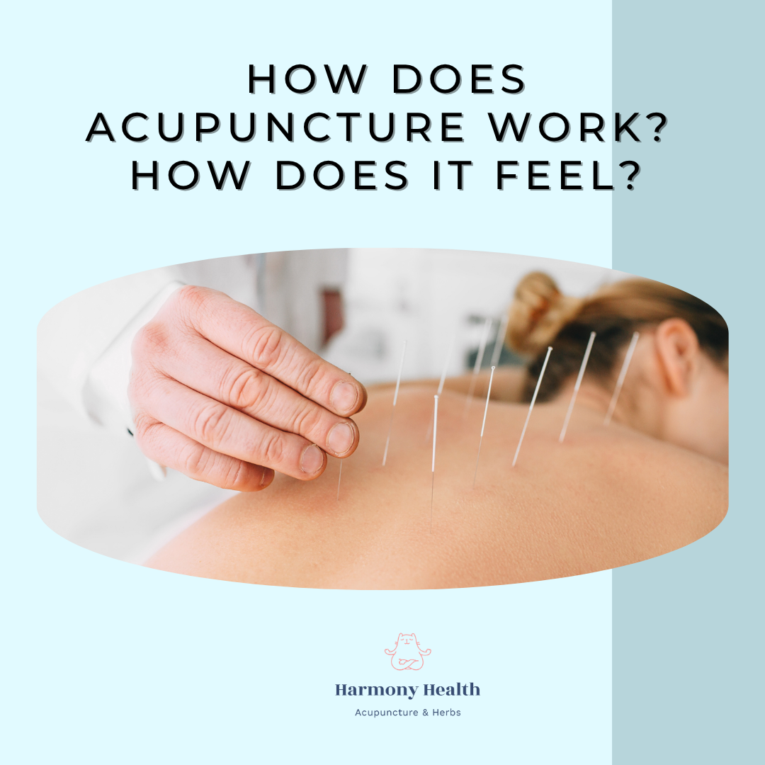 Is Acupuncture Effective? Is It Painful or Scary? | Light Centre